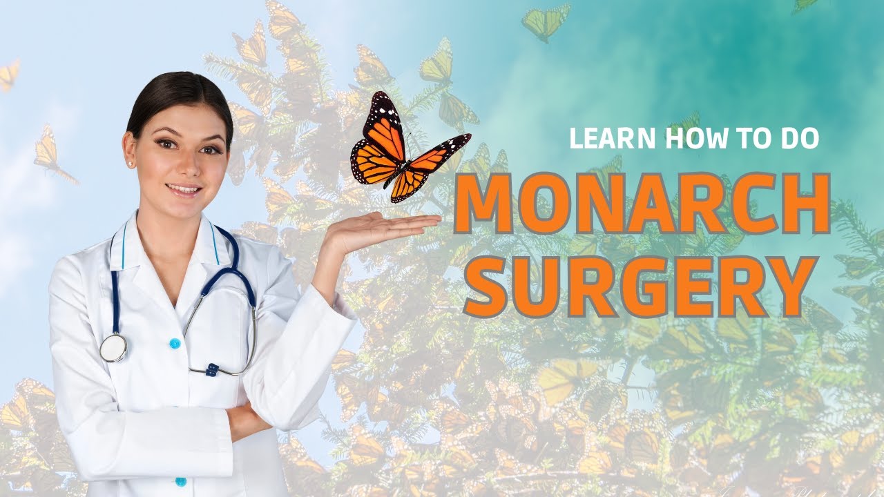 Monarch Butterfly Surgery - YouTube