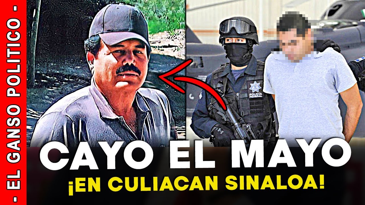 ¡ÚLTIMA HORA! El Mayo fue capturado, ofreció 20 millones de dólares por ...