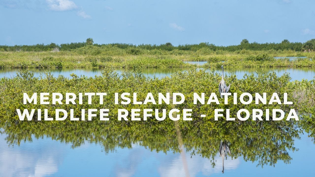 Merritt Island National Wildlife Refuge, Florida - YouTube