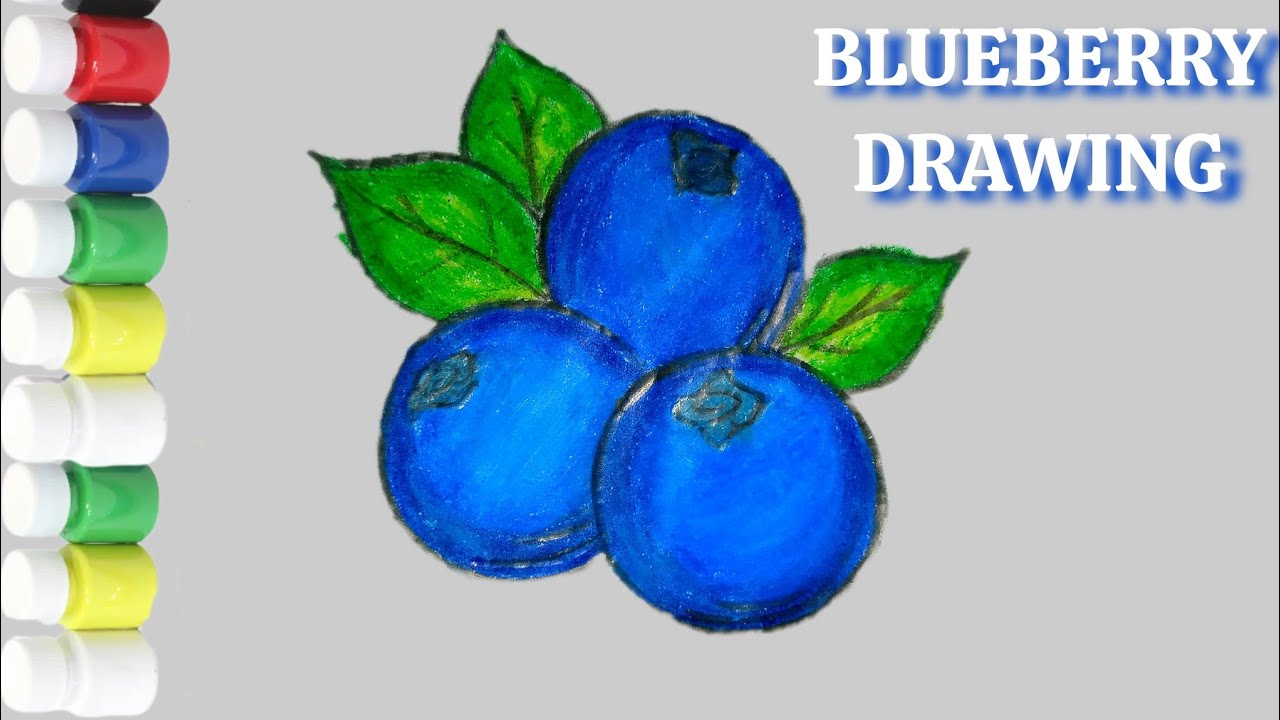 Kids Drawing : How to Draw A Blueberry #blueberry - YouTube