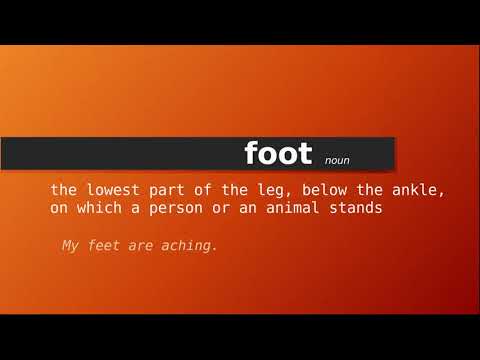 foot , Meaning of foot , Definition of foot , Pronunciation of foot ...