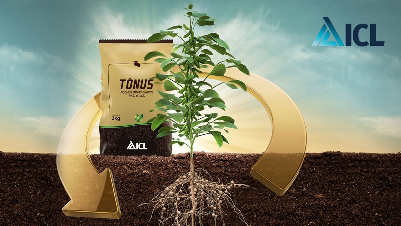Ventajas de usar TONUS | ICL BOLIVIA - YouTube