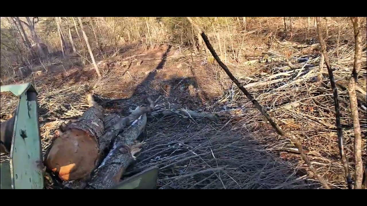 C6D Tree Farmer Skidding Logs - YouTube