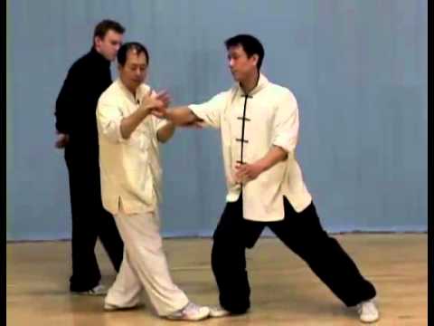 YMAA - Taiji Chin Na in Depth - Dr. Yang Jwing-Ming