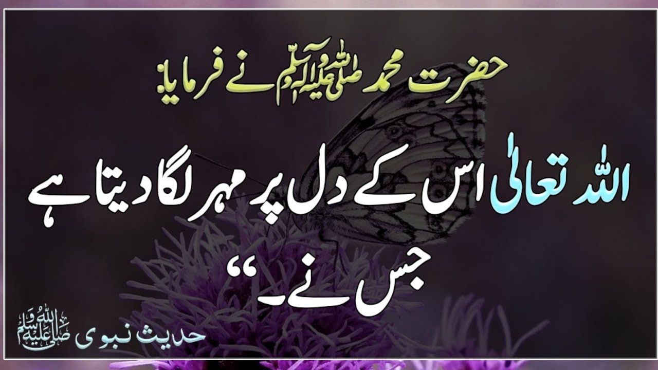Hadees Sharif | Hadees pak of hazrat muhammad saw | Namaz | Hadees ...