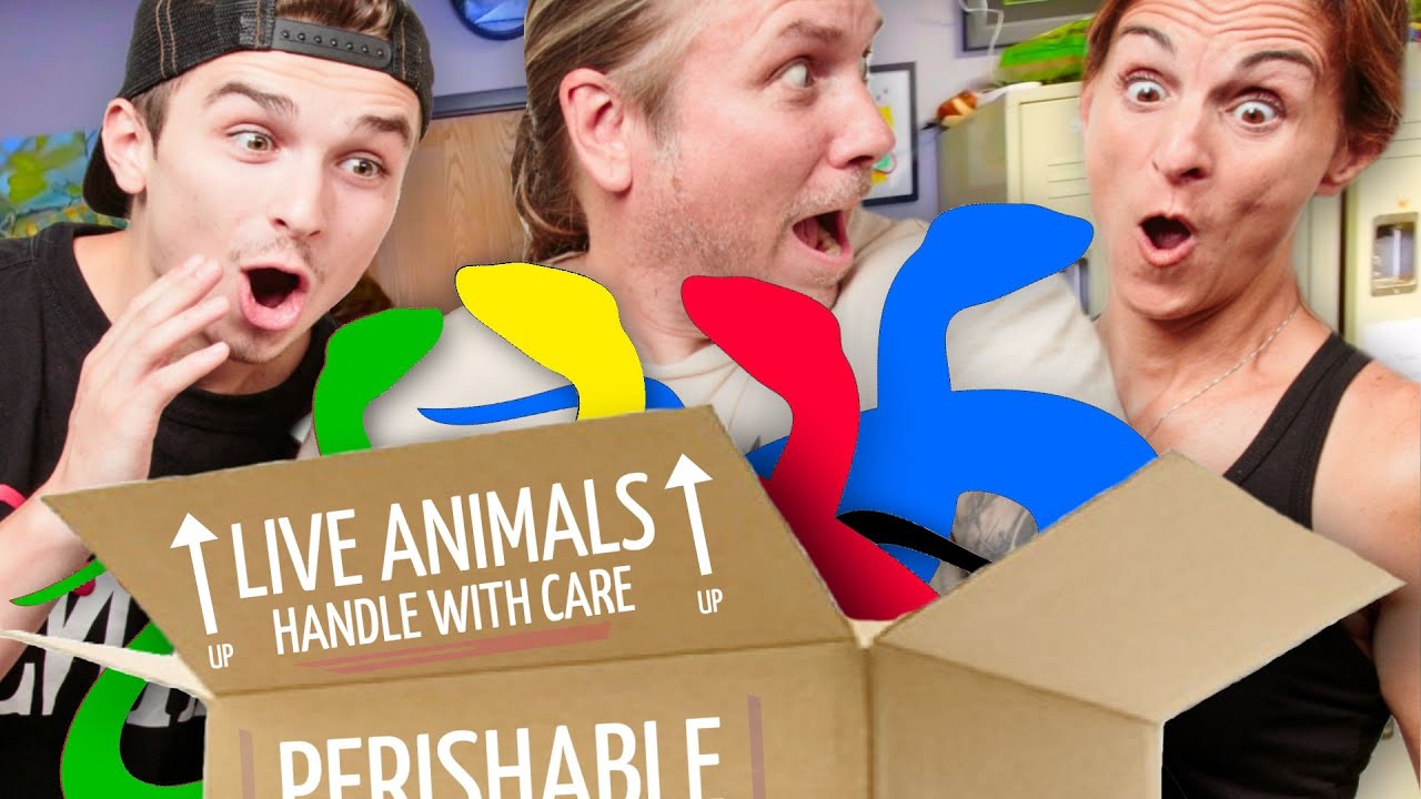 UNBOXING SNAKES WITH THE ENTIRE BARCZYK FAMILY!! | BRIAN BARCZYK - YouTube