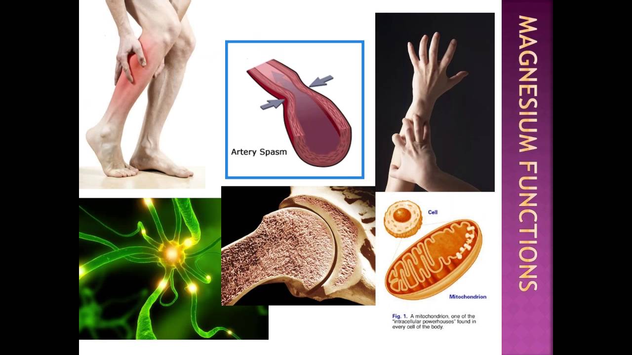 Life Saving Benefits of Magnesium RX - YouTube