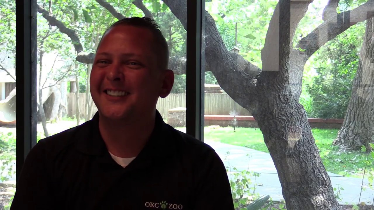 Oral history interview with Lance Swearengin: Monarch Butterflies in ...