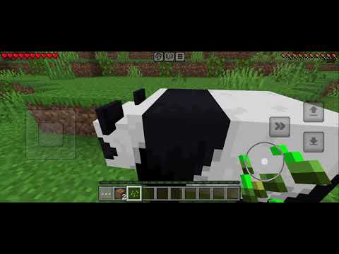 #minecraft #gaming #trending #🤑🤑#video #viral - YouTube
