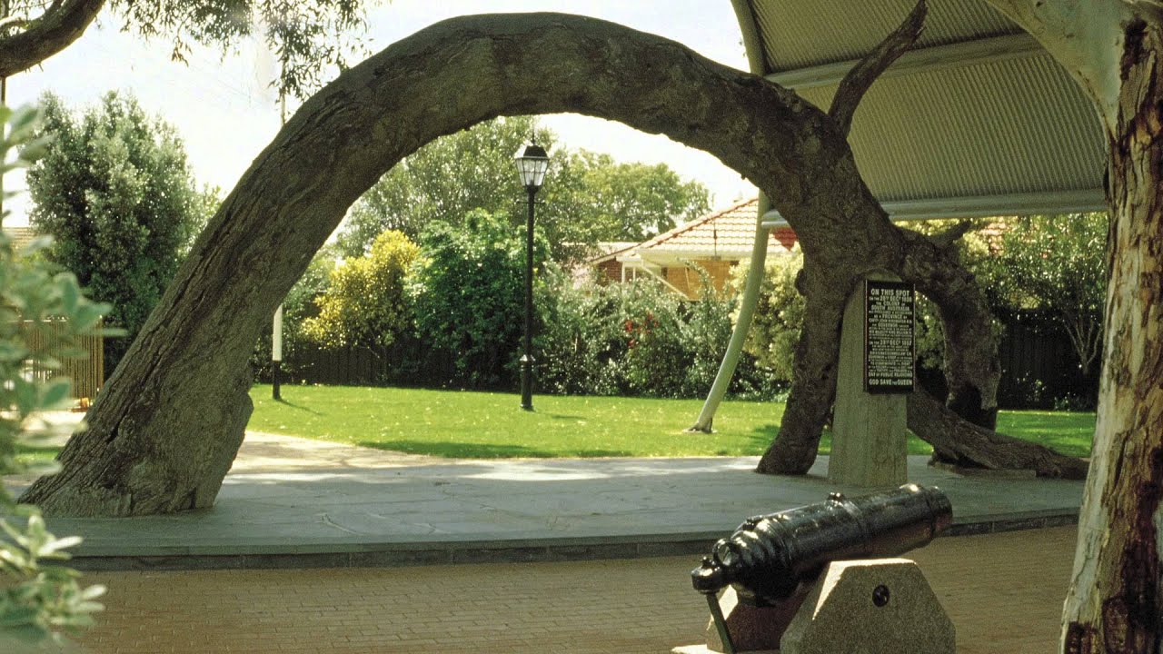 The Spirit Of South Australia - Sandi McMenamin - YouTube