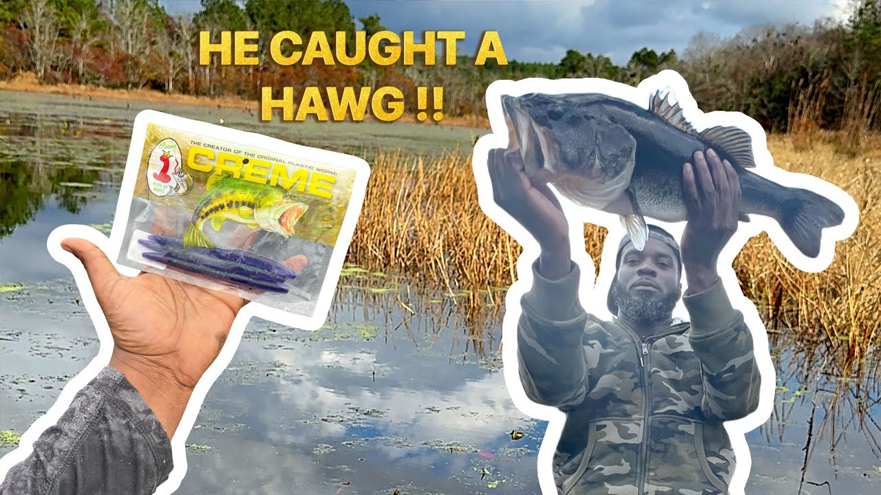 THANKSGIVING BASS FISHING PRIVATE POND FOR GIANTS ! - YouTube