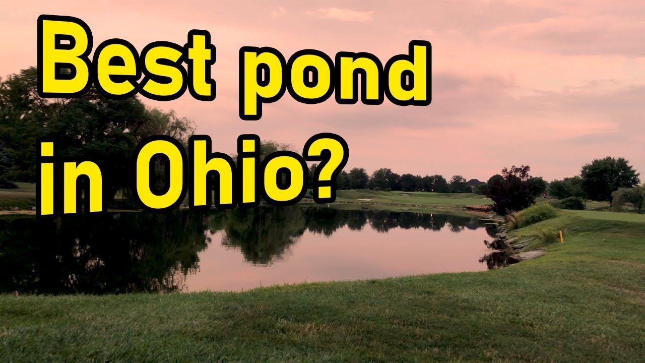 Fishing the best pond in the state of Ohio! - YouTube