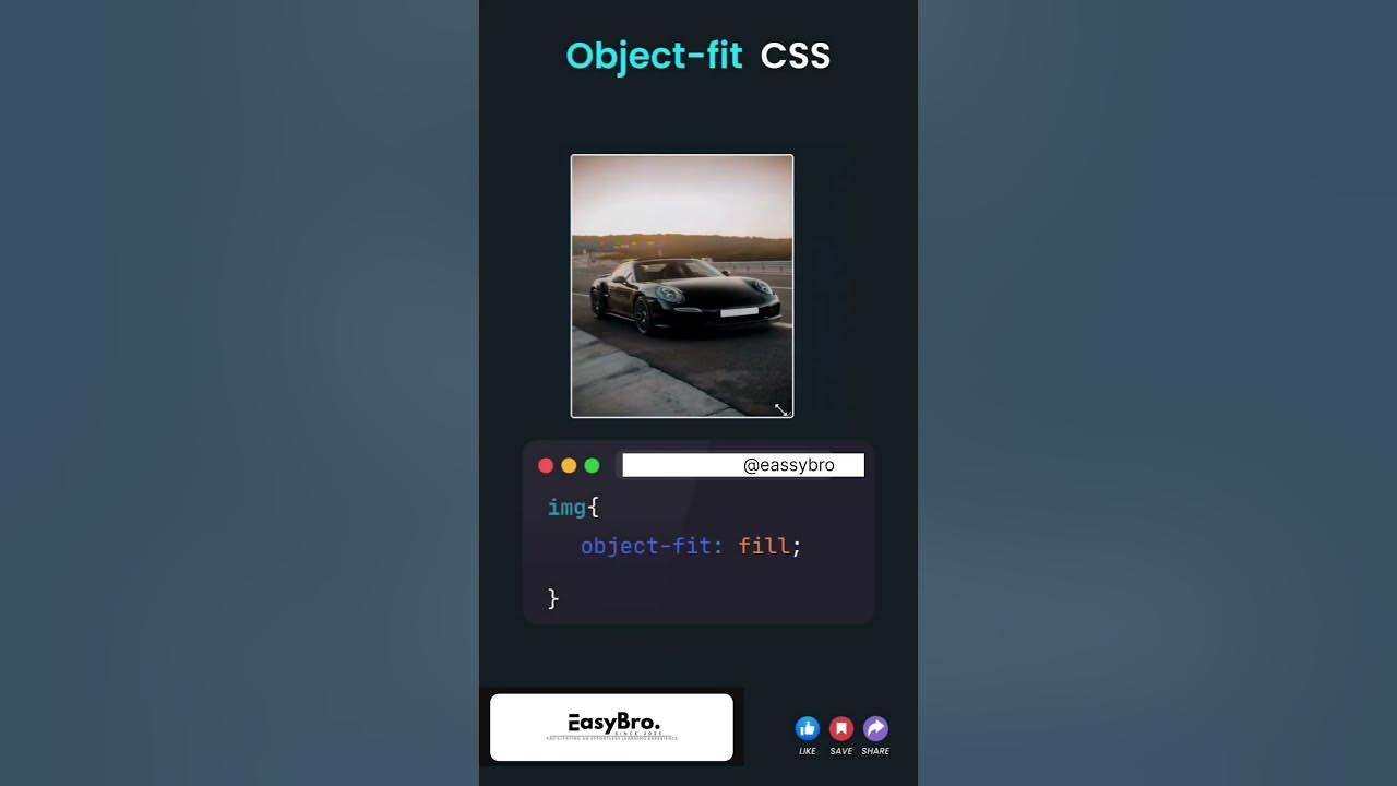 css object fit property #shorts - YouTube