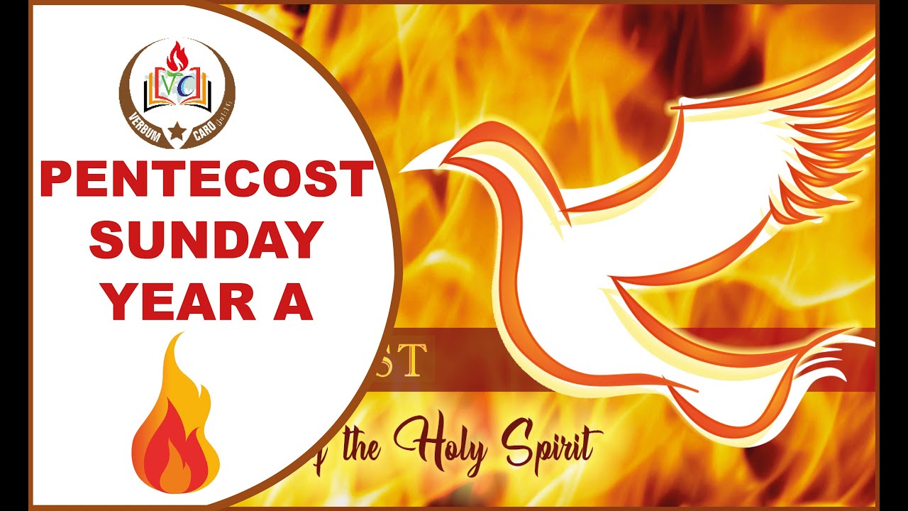 Homily of Pentecost Sunday/ Homily for sunday 28/05/2023: The Holy ...