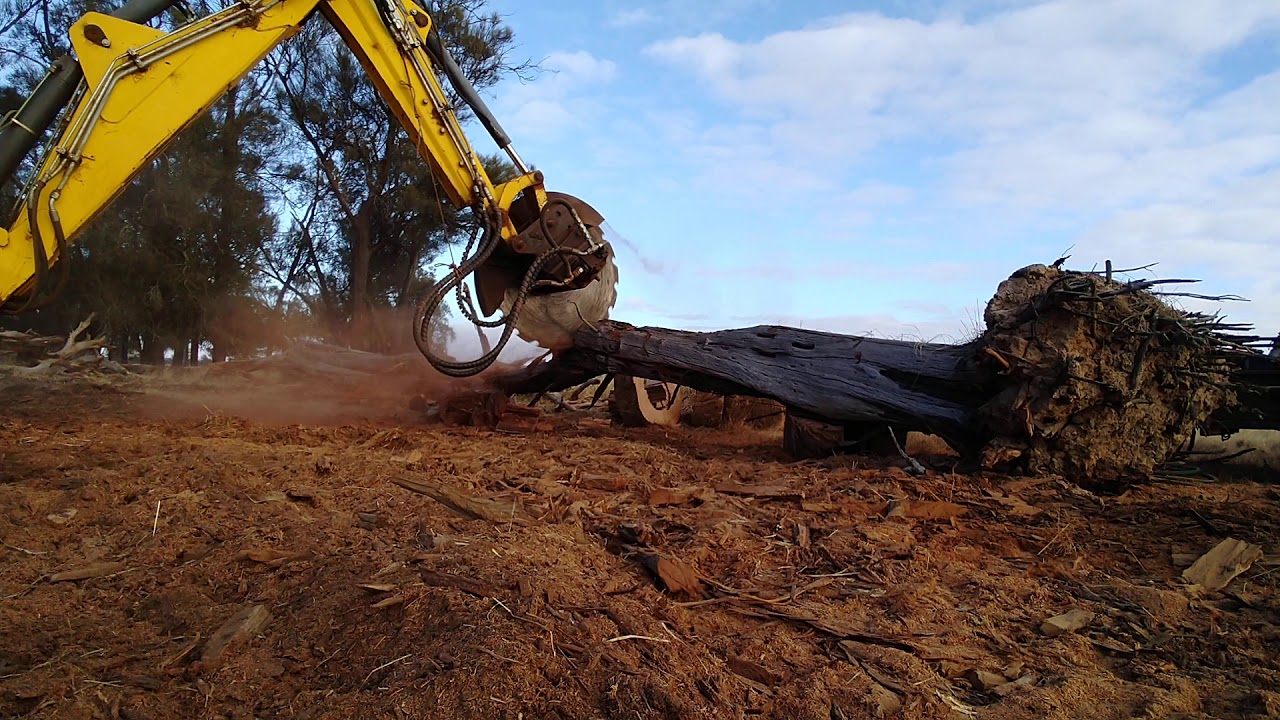 Cutting Australian buloke with backhoe saw - YouTube