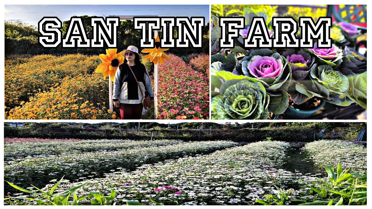 Shun Sum Yuen Farm - YouTube