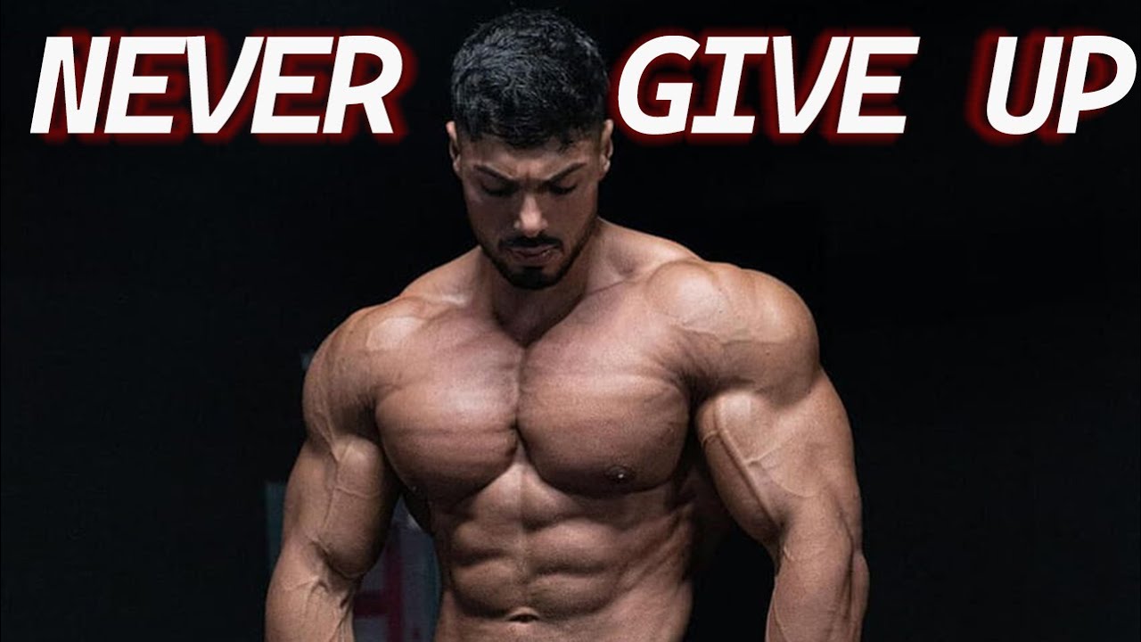NEVER GIVE UP - GYM MOTIVATION 🔥#2 - YouTube