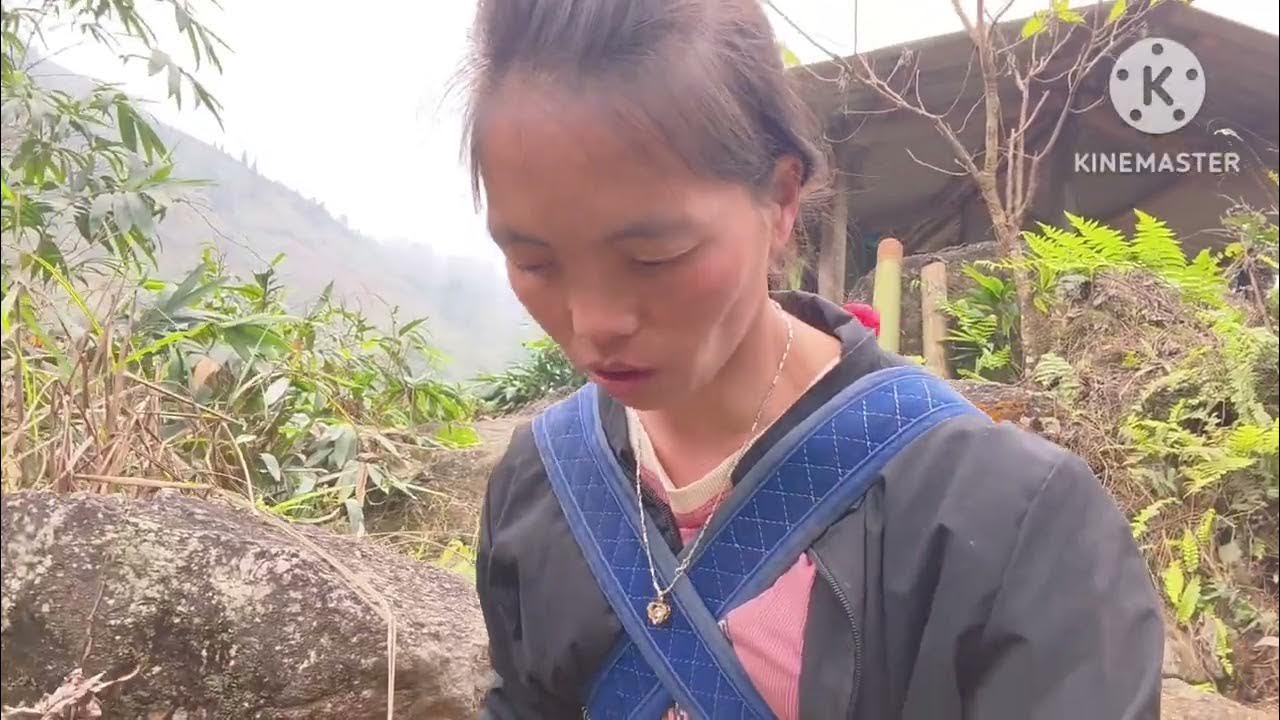 hnub no wb rov mus luaj teb duas nawb 12/2/2025 - YouTube