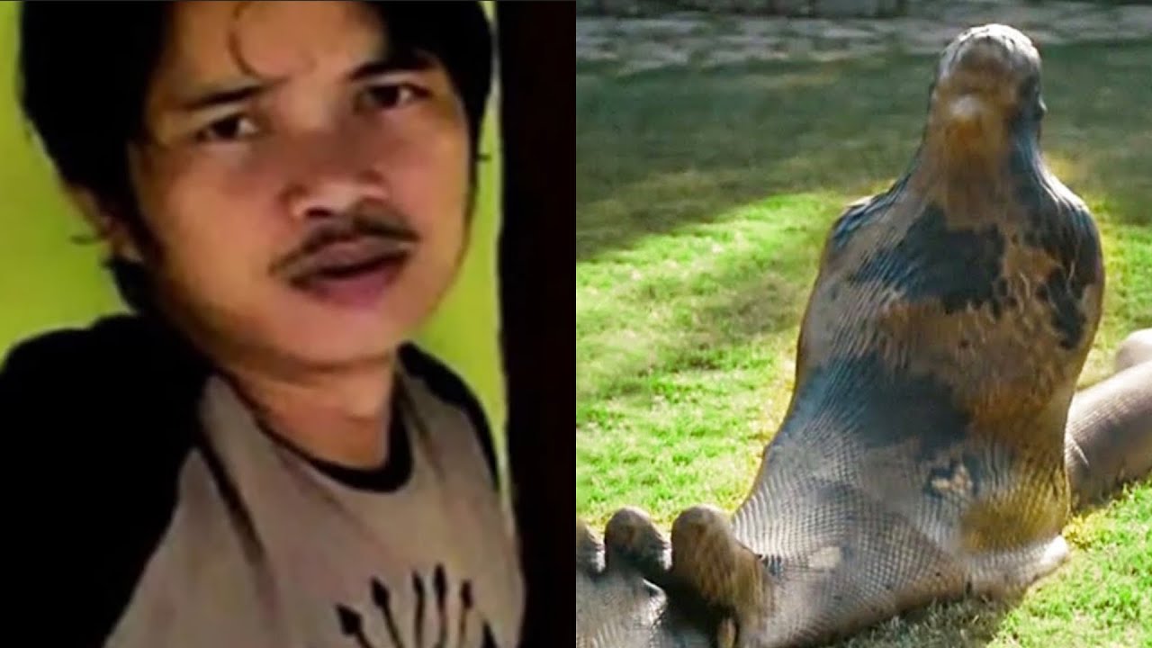 25 Weirdest Things Ever Found Inside Animals - YouTube