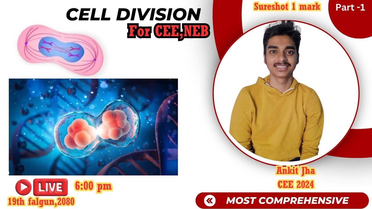Cell division for CEE , NEB Part 1 by Ankit Jha - YouTube