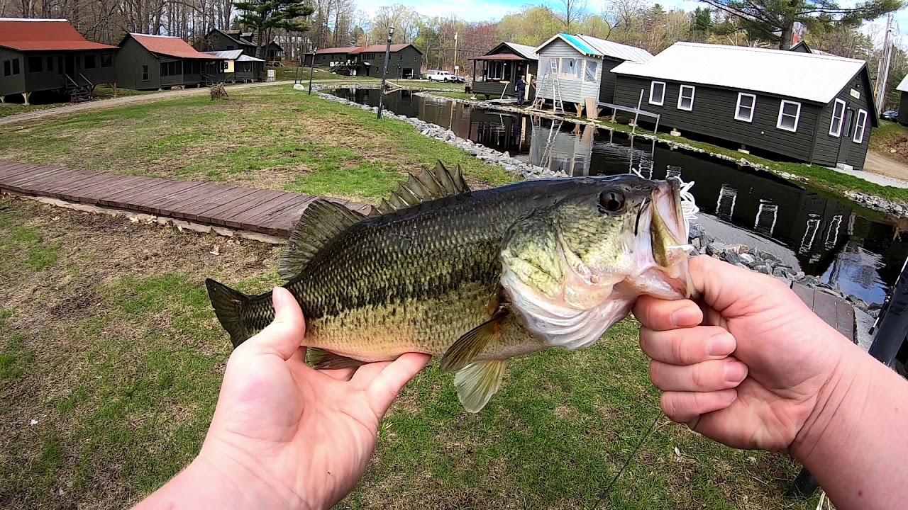 Fishing Rewind 2019(READ DESCRIPTION) - YouTube