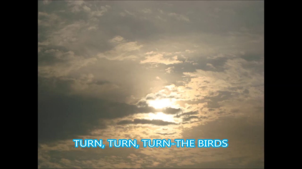 Turn, turn, turn - The Birds (Subtítulos inglés y español) - YouTube