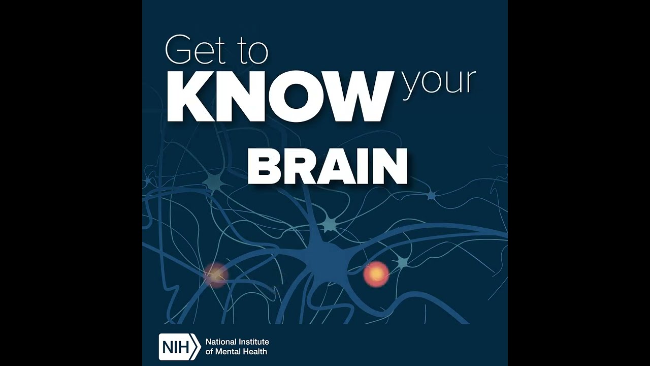 Get to Know Your Brain! - YouTube