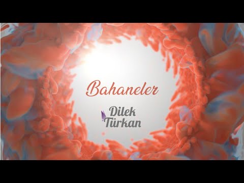 Dilek Türkan / Bahaneler