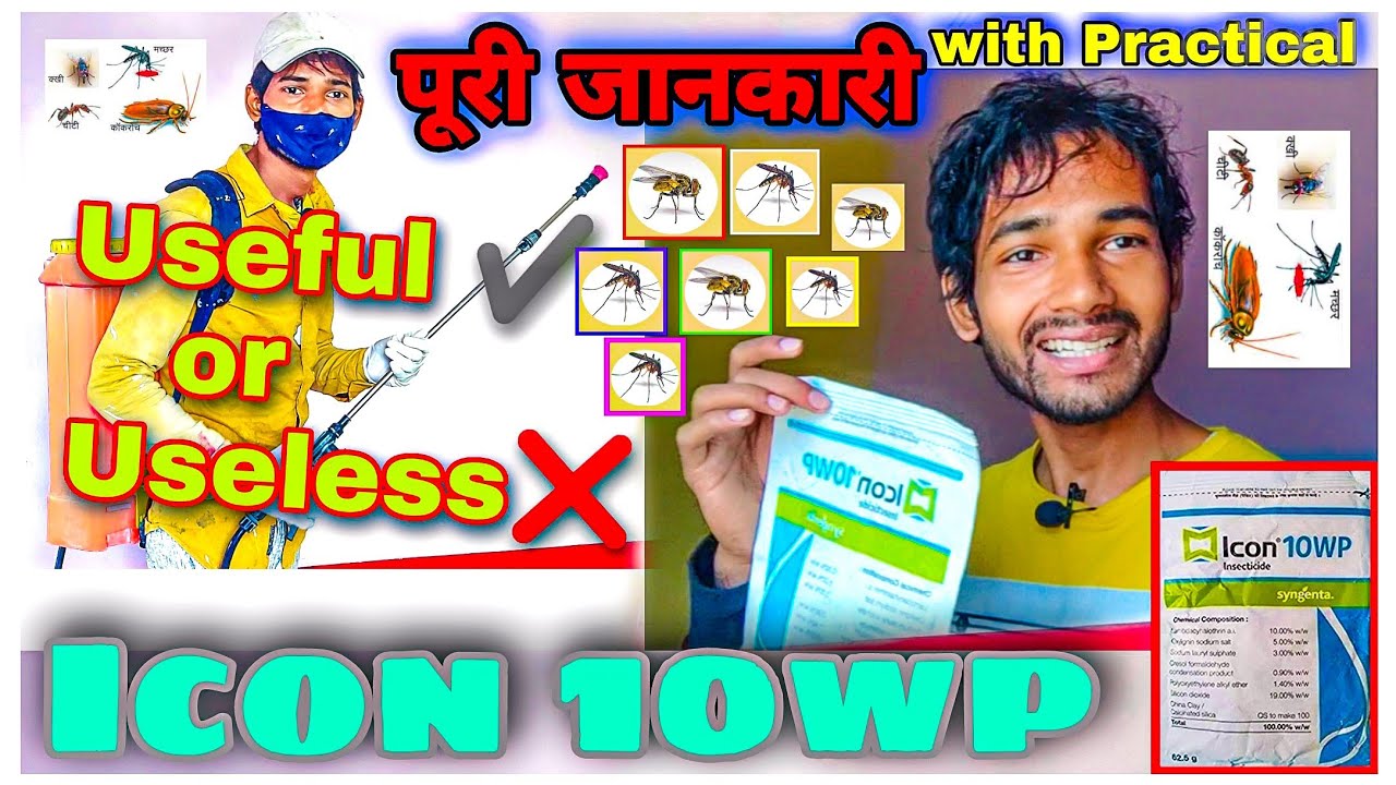 Icon 10 wp || Useful or Useless || Practical of Icon 10wp #flies # ...
