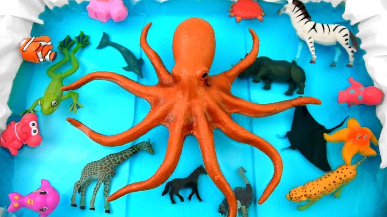 Learn Zoo Animals Wild Sea Animals in Blue Water For Kids - YouTube