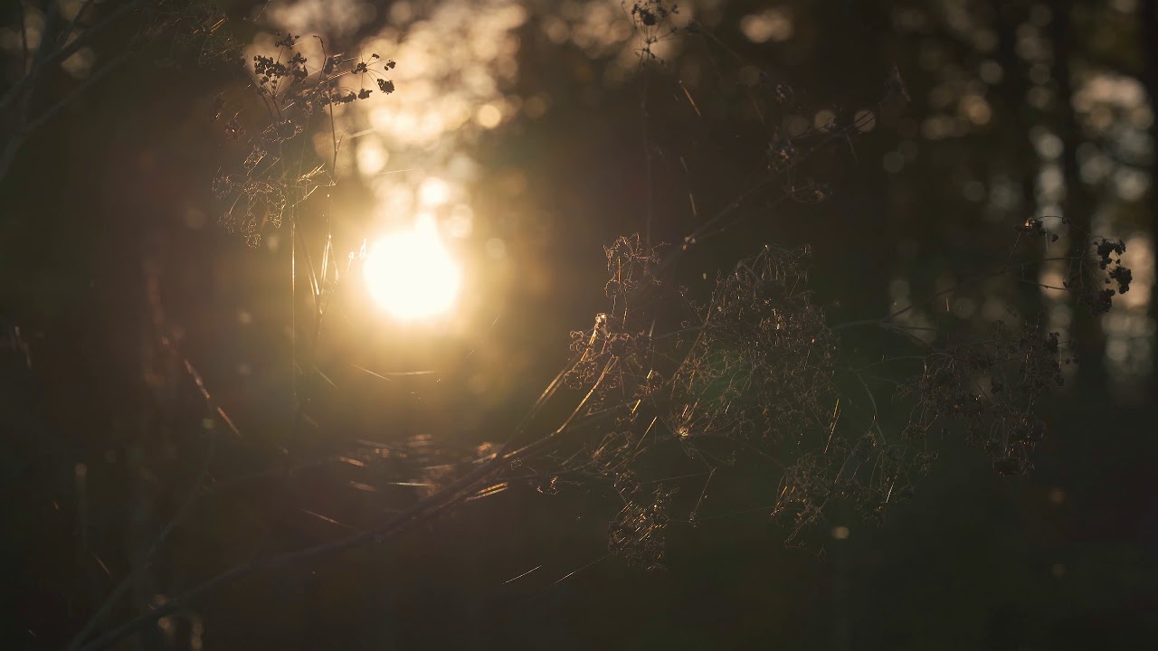 November Evening - YouTube