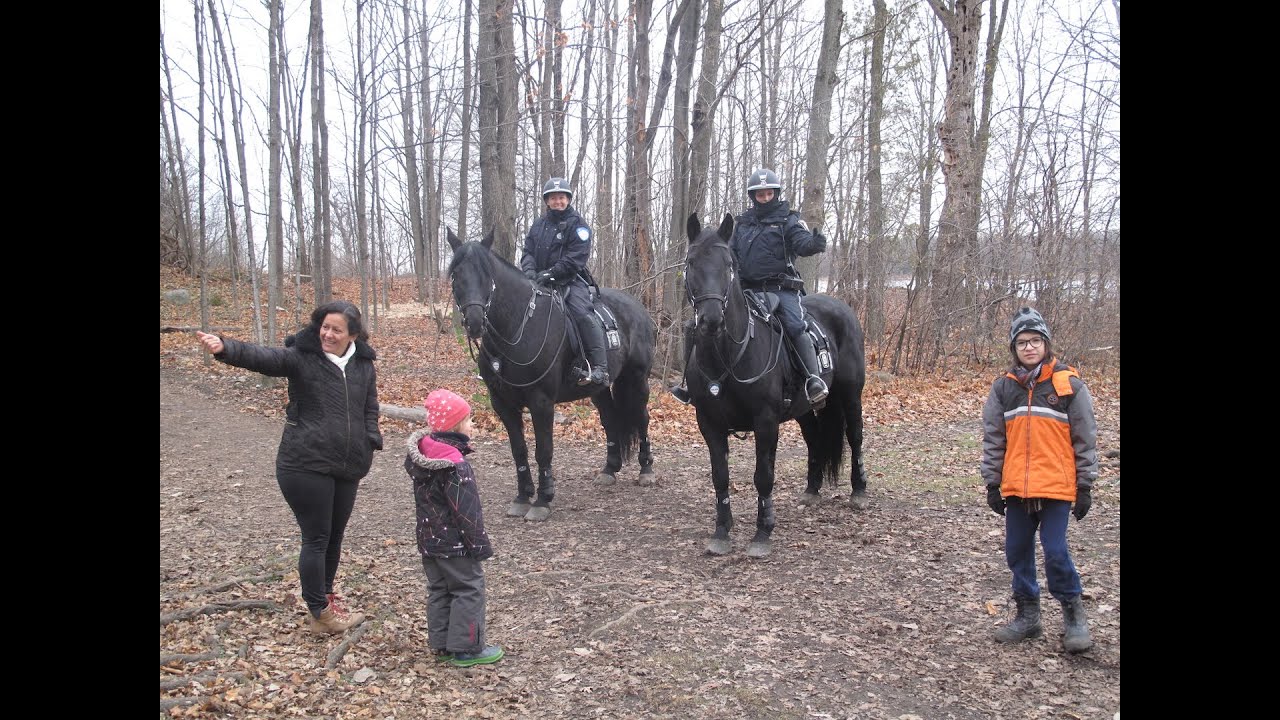 Cap Saint-Jaques Nature Park and Beach Vlog - YouTube