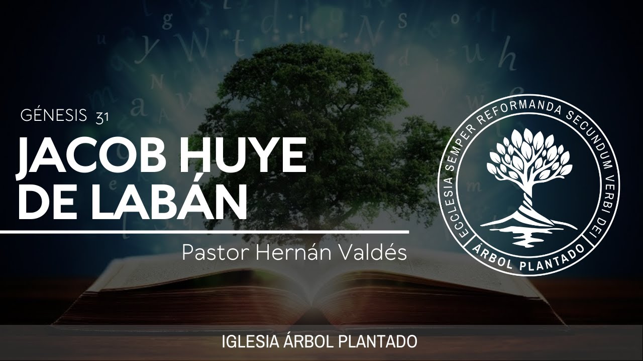 41 - Jacob huye de Labán ( Génesis 31 ) - YouTube