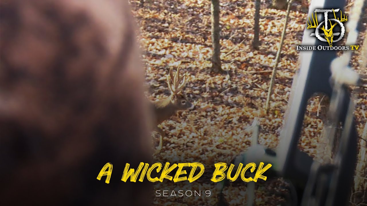 A Wicked Buck - YouTube