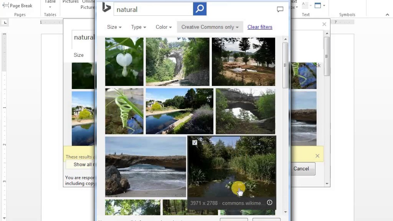 insert tab insert picture, shape,chart,screen capture in ms word - YouTube
