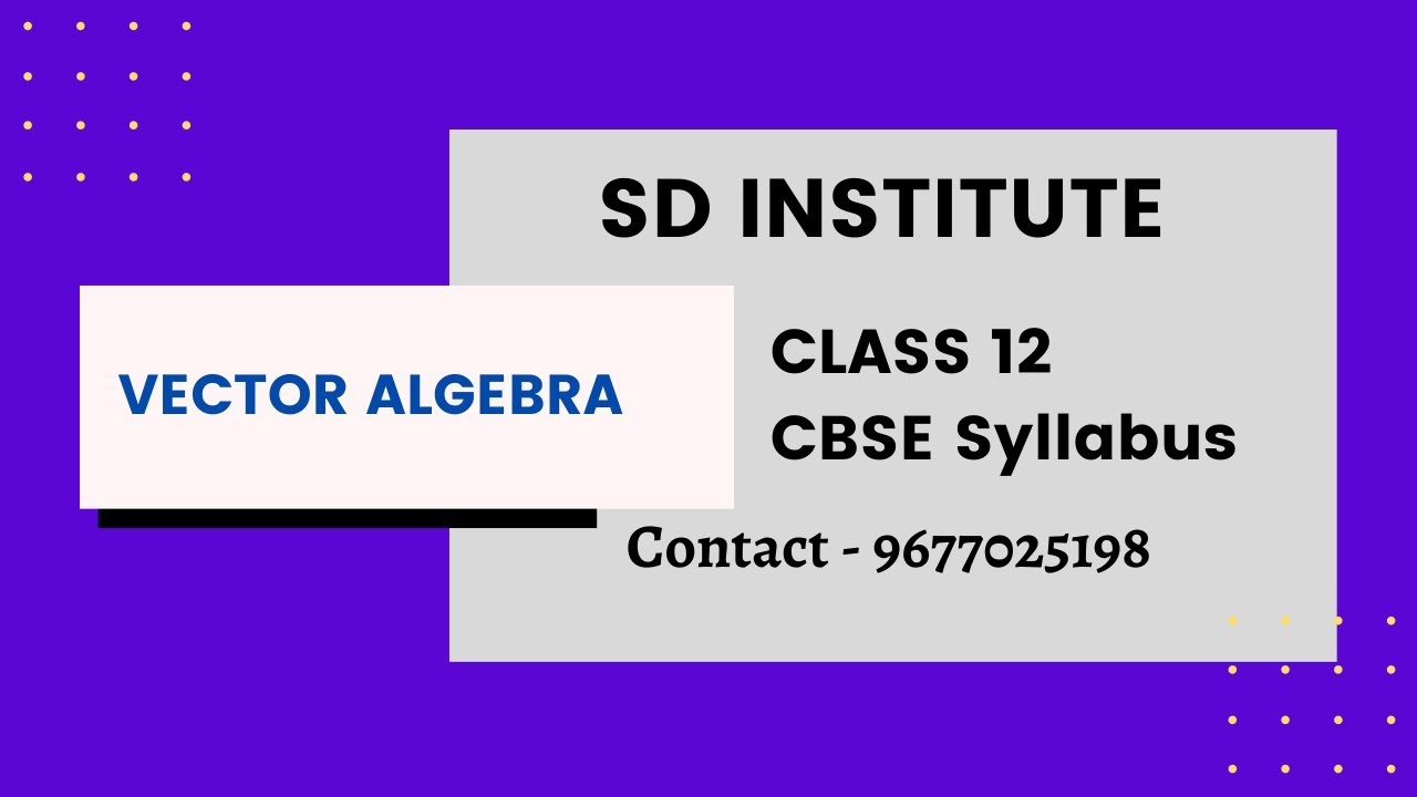Vectors Class 12 CBSE Internal and external section - YouTube