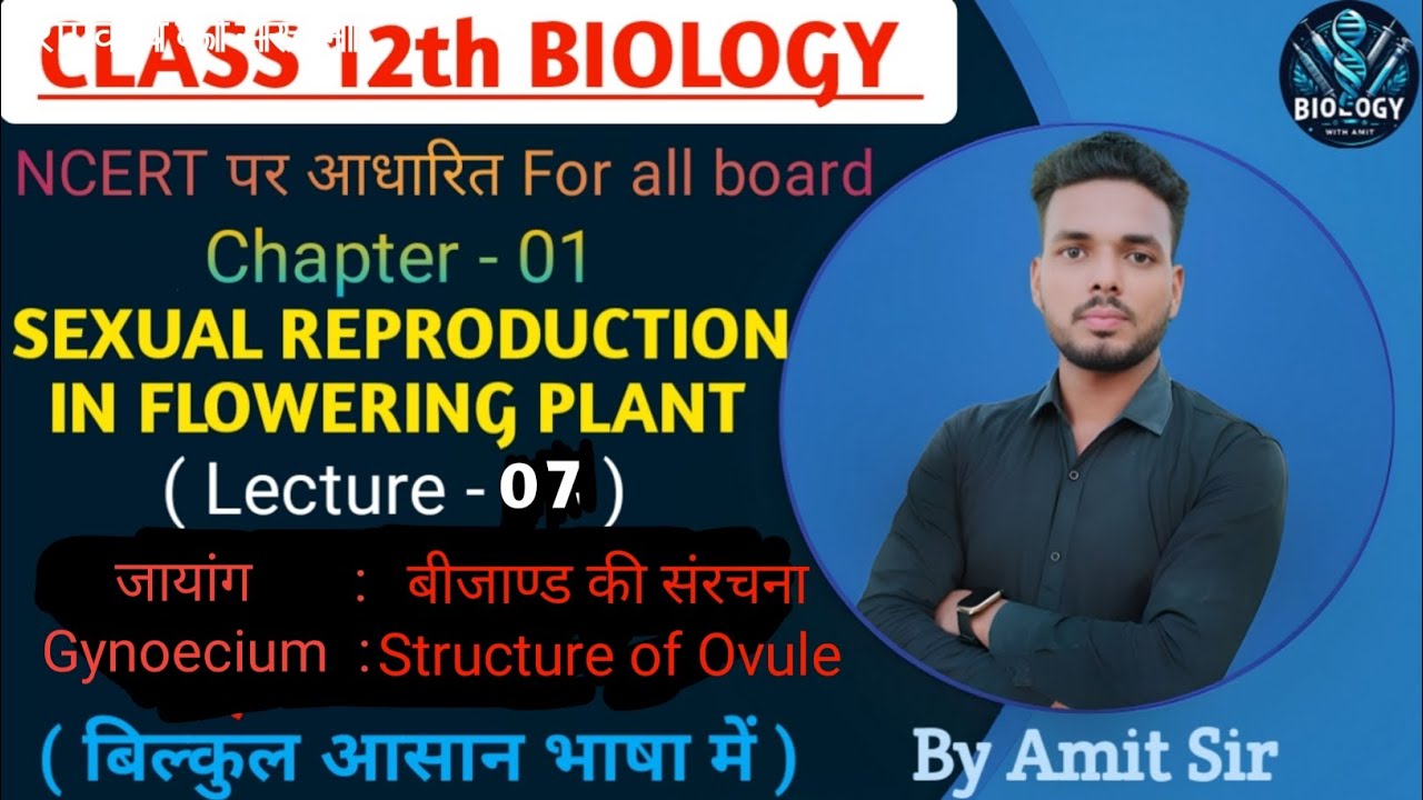 Gynoecium | Structure of Ovule | Sexual Reproduction in Flowering ...