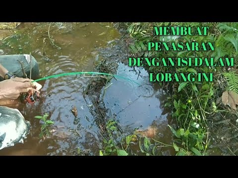 PENASARAN, mancing lembat dilobang ini dibuat GAGAL fokus  dgan tarikannya