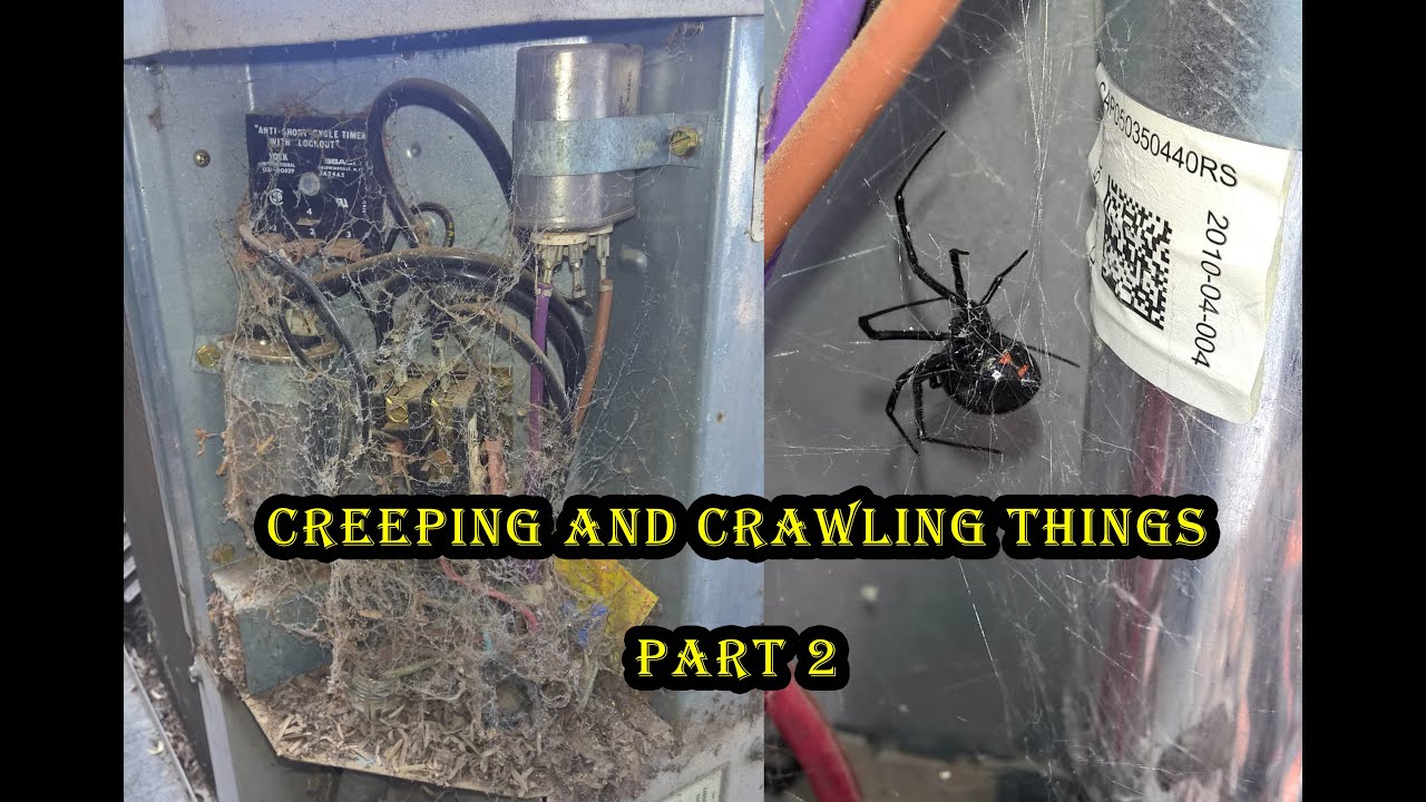 Creeping and crawling things - Part 2 - YouTube