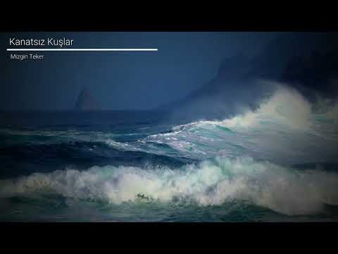 Kanatsız Kuşlar - Mizgin Teker