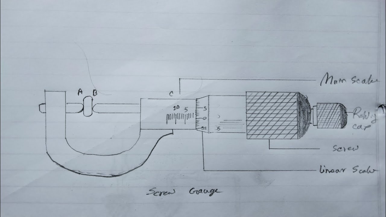 biology practical ssc 2024 || science practical SSC || science ...