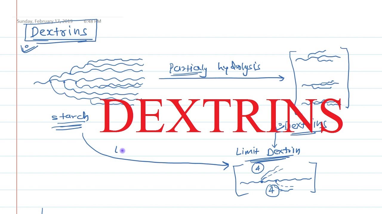 20. Dextrins (Polysaccharide) - YouTube