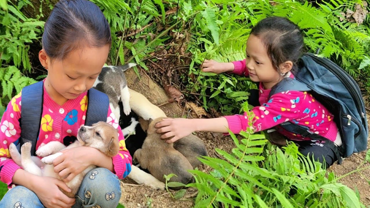 full video 45 days: Pick up stray dogs, sell bamboo shoots, garden ...