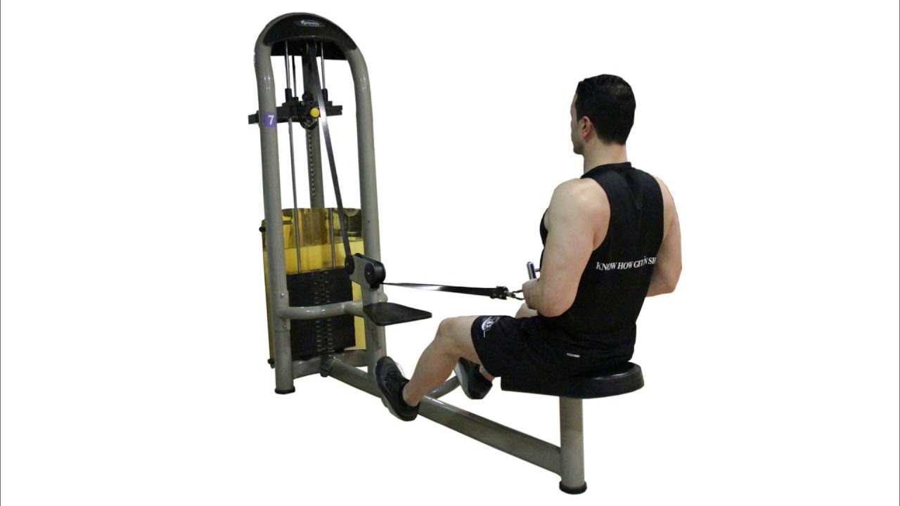 Seated Cable Row, Double D Handle - KNOW-HOW GET IN SHAPE - YouTube