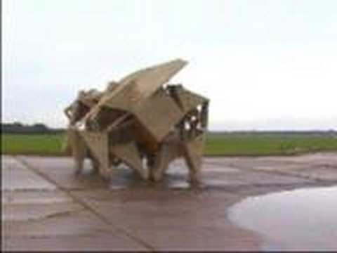 animaris rhinoceros transport - YouTube