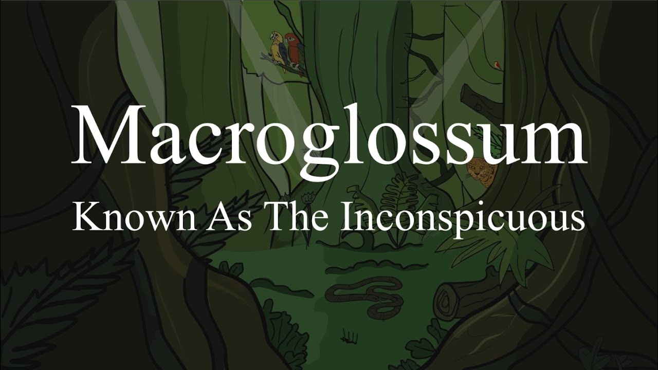Known As The Inconspicuous - Macroglossum (Official Video) - YouTube