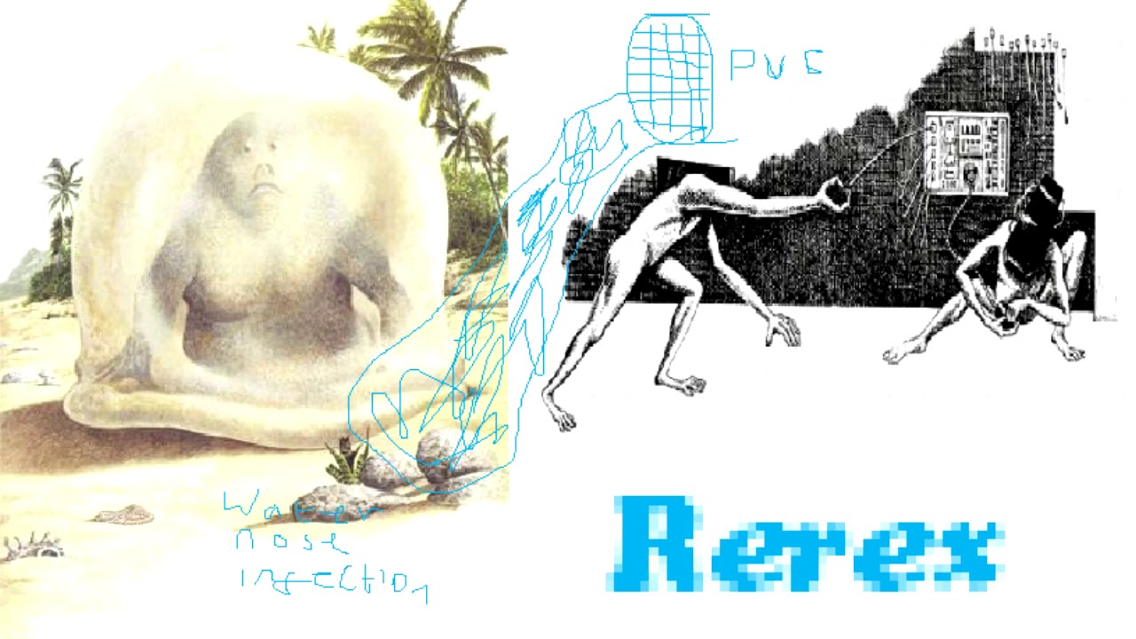 James Ferraro Rerex Excerpt - YouTube