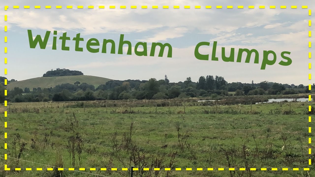 Wittenham Clumps : Thames Path - YouTube
