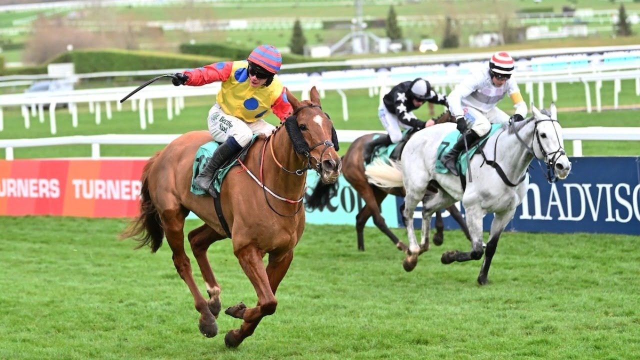 JAZZY MATTY lands second Cheltenham Festival success in another ...