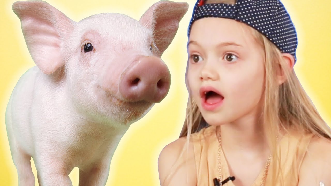 Kids Get Surprised With Mini Pigs - YouTube